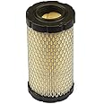 Amazon.com: Briggs & Stratton 793569 Round Air Filter Cartridge