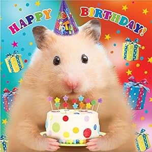 3D Holographic Birthday Card Funny Cute Hamster Cake Stars Presents ...