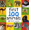 First 100 Words (Bright Baby First 100): Amazon.co.uk: Roger Priddy: Books