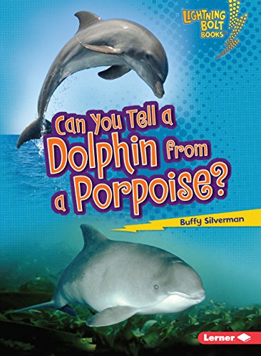 Animal Look-Alikes:Can You Tell a Dolphin from a Porpoise? : Buffy ...