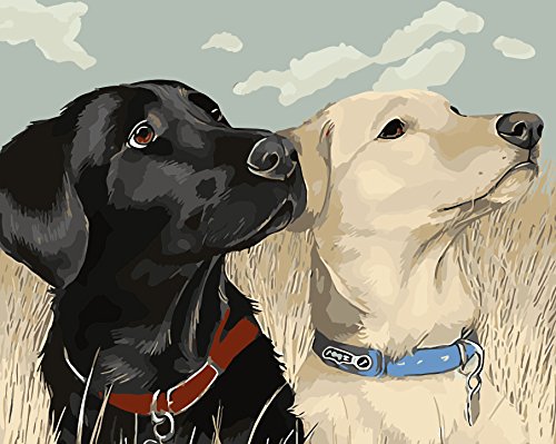 Paint by Number Kits of Dogs • Paint By Number For Adults
