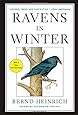 Mind of the Raven: Investigations and Adventures with Wolf-Birds: Bernd ...