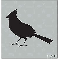 Amazon.com : Stencil1 Cardinal Stencil Bird Art Reusable Mylar Template ...