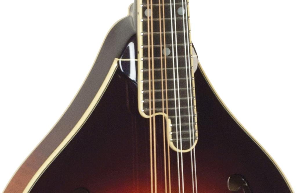 The Loar LM-300-VS Professional A-Style Mandolin : Amazon.co.uk ...