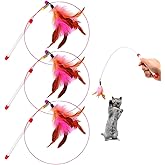 Amazon.com : SCOBUTY The Giddy Kitty 5 Pack Cat Feather Interactive Toy ...