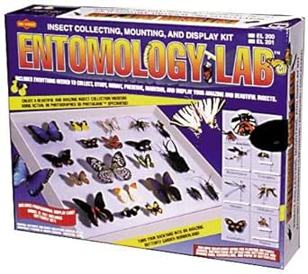 EDUCATIONAL SCIENCE WE ENABLE DISCOVERY Entomology Lab Insect ...