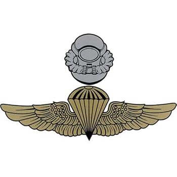 Amazon.com: USMC FORCE RECON Memorial American Military Car Window ...