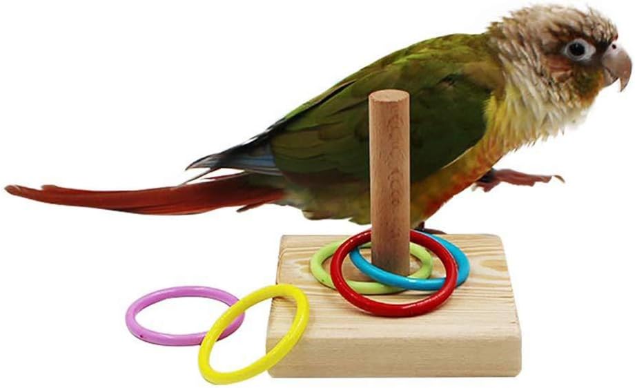 Bird Training Puzzle Ring Toy Parrot Activity Intelligence Development ...