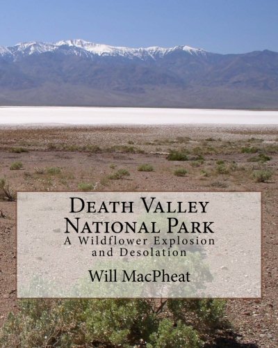 Death Valley National Park: A Wildflower Explosion and Desolation ...