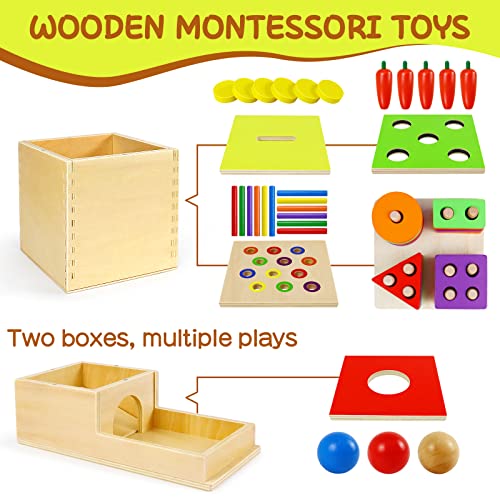 Montessori Toys for 1 2 Year Old, 5 in 1 Wooden Play Kit Includes ...