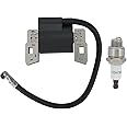 Amazon.com: Panari 397358 Ignition Coil for Briggs & Stratton 5HP ...