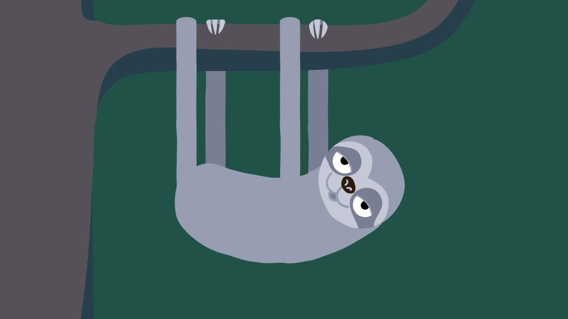 Watch Animanimals Season 1 | Prime Video