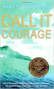 Amazon.com: Call It Courage (9781416953685): Armstrong Sperry: Books