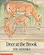 Deer at the Brook: Jim Arnosky: 9780688104887: Amazon.com: Books