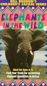 Amazon.com: Children Safari Elephants in the Wild [VHS]: Various ...