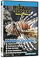 Amazon.com: SALTWATER FISH AQUARIUM DVD! Set-up, Aquascape ...