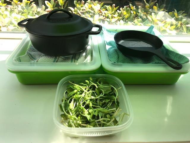 $6/mo - Finance Kitchen Sink Farming - Complete Collection: Easily & Cheaply Grow, Sprout, and ...