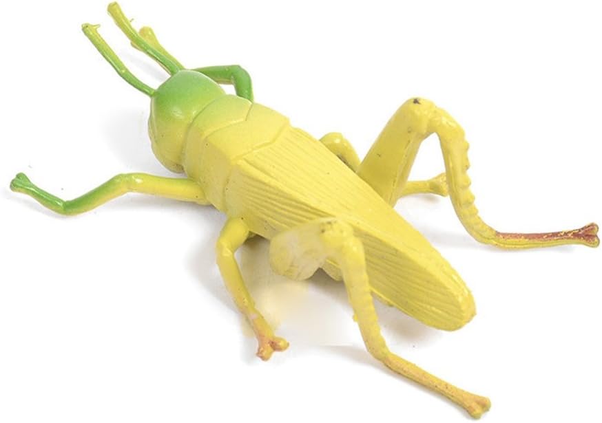 TOYMYTOY Fake Bugs and Insects Toys – Assorted Realistic Rubber Insects ...