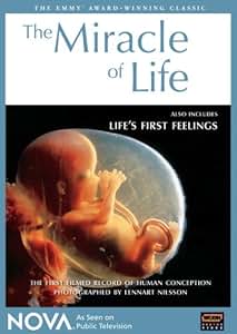 Amazon.com: NOVA: The Miracle of Life/Life's First Feelings: .: Movies & TV