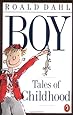 Boy: Tales of Childhood: Roald Dahl: 9780141303055: Amazon.com: Books