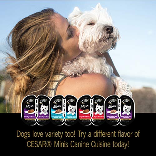 CESAR Minis Wet Dog Food Tender Loaf in Sauce, Filet Mignon Flavor, (24 ...