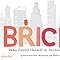 Brick: Who Found Herself in Architecture: Stein, Joshua David, Rothman ...