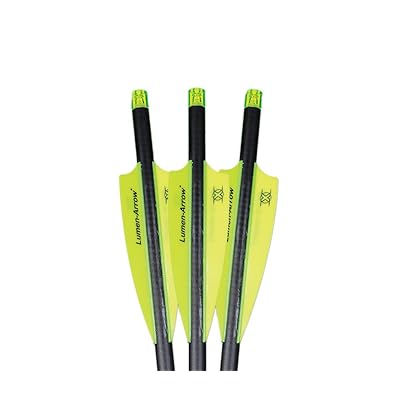 Buy Lumenok Lumen-Arrow 20-Inch Carbon Bolts with Flat Bolt End 3-Pack ...