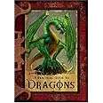 Amazon.com: A Practical Guide to Dragons (Practical Guides ...