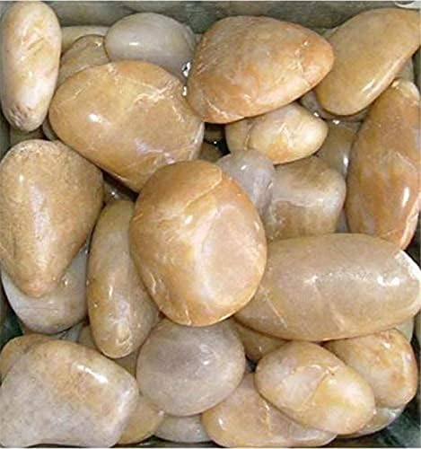 River Pebble Stones-500gms price in UAE | Amazon UAE | kanbkam