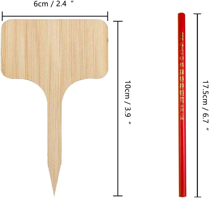 50 PCS Bamboo Plant Labels, Plant Markers & Labels Bamboo Nursery ...