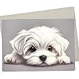 Amazon.com : Whitman and Daughter Maltese Card, Maltese Birthday Card ...
