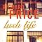 Lush Life: A Novel: Price, Richard: 9780312428228: Books - Amazon.ca