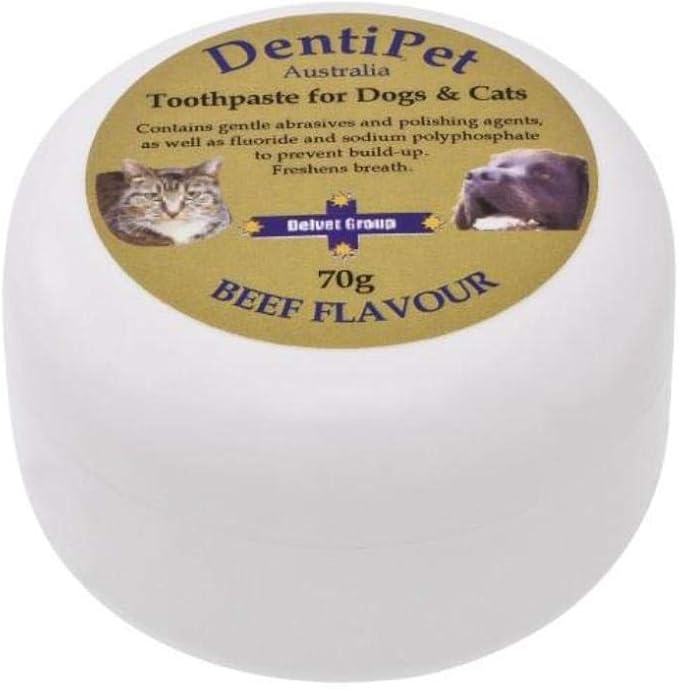 Dentipet Toothpaste 70g Chicken Flavour ACP-079: Amazon.com.au: Pet ...