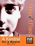 A Kestrel for a Knave (Penguin Modern Classics): Amazon.co.uk: Barry ...