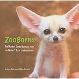 ABC: ZooBorns!: Andrew Bleiman, Chris Eastland: 0884839087551: Amazon.com: Books