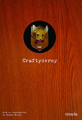 A Little Book of Craftivism: Amazon.ca: Corbett, Sarah: Books