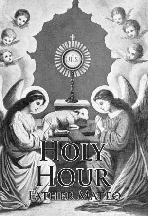 THE HOLY HOURS BOOK - IN EXTRA LARGE PRINT (see description): Rev ...