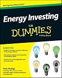 Alternative Energy For Dummies: Rik DeGunther: 9780470430620: Amazon ...