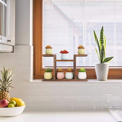 COOGOU Wood Desktop Plant Stand Indoor - Windowsill Plant Shelf Small ...