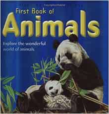 First Book of Animals: Parker, Steve: 9781842364475: Amazon.com: Books