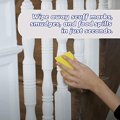 Scrub Daddy Eraser Sponge - Eraser Daddy 10x - Durable Melamine Eraser ...