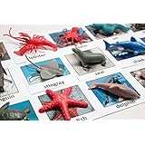 Amazon.com: Montessori Antarctic Polar Animal Match - Miniature Arctic ...