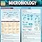 Microbiology (Quick Study Academic): Miskevich, Frank, Ph.D ...