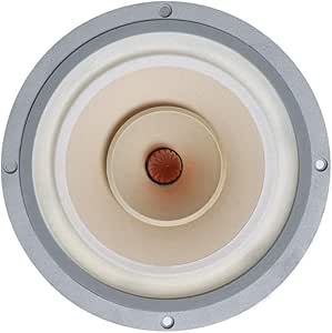 Amazon.com: Lii Audio 8 Inch Full Range Drivers for Audiophile HiFi ...