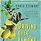 Driving Over Lemons: An Optimist in Andalucia (The Lemons Trilogy ...