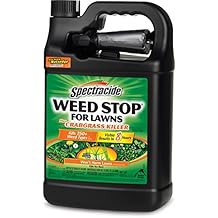 Amazon.com: potassium nitrate stump remover