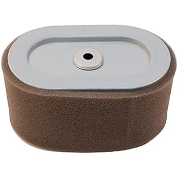 Amazon.com : Briggs and Stratton 797032 Air Filter : Garden & Outdoor