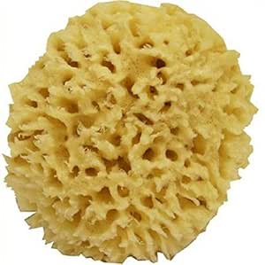 Esponja Natural del mar es ideal para un baño de esponja. Esponjas ...