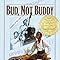 Bud, Not Buddy: Christopher Paul Curtis: 9780385323062: Books - Amazon.ca