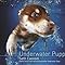 Underwater Puppies: Amazon.co.uk: Seth Casteel: 9781472209405: Books